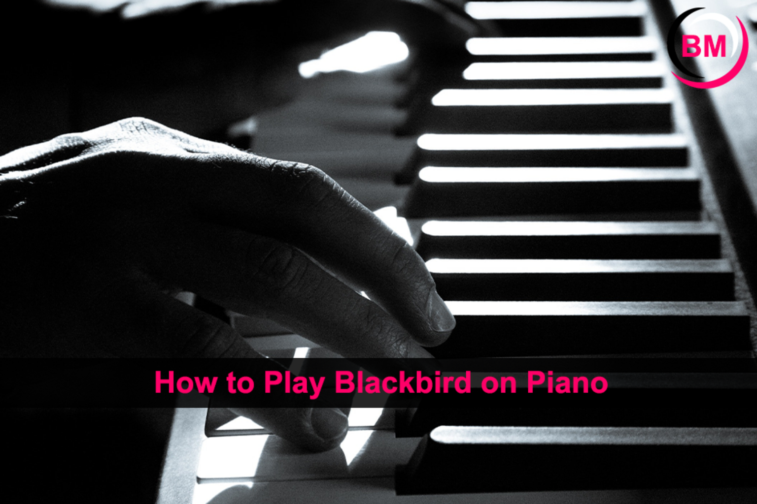 How to Play Blackbird on Piano (5 Simple Steps)